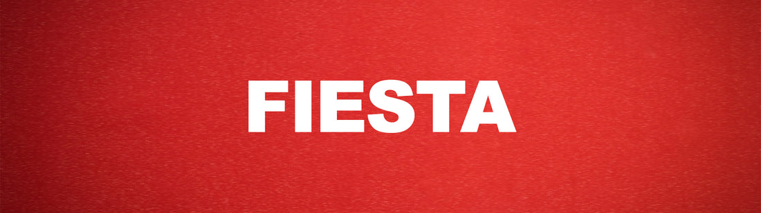 Ford Fiesta Wheel Gallery – Rotashop